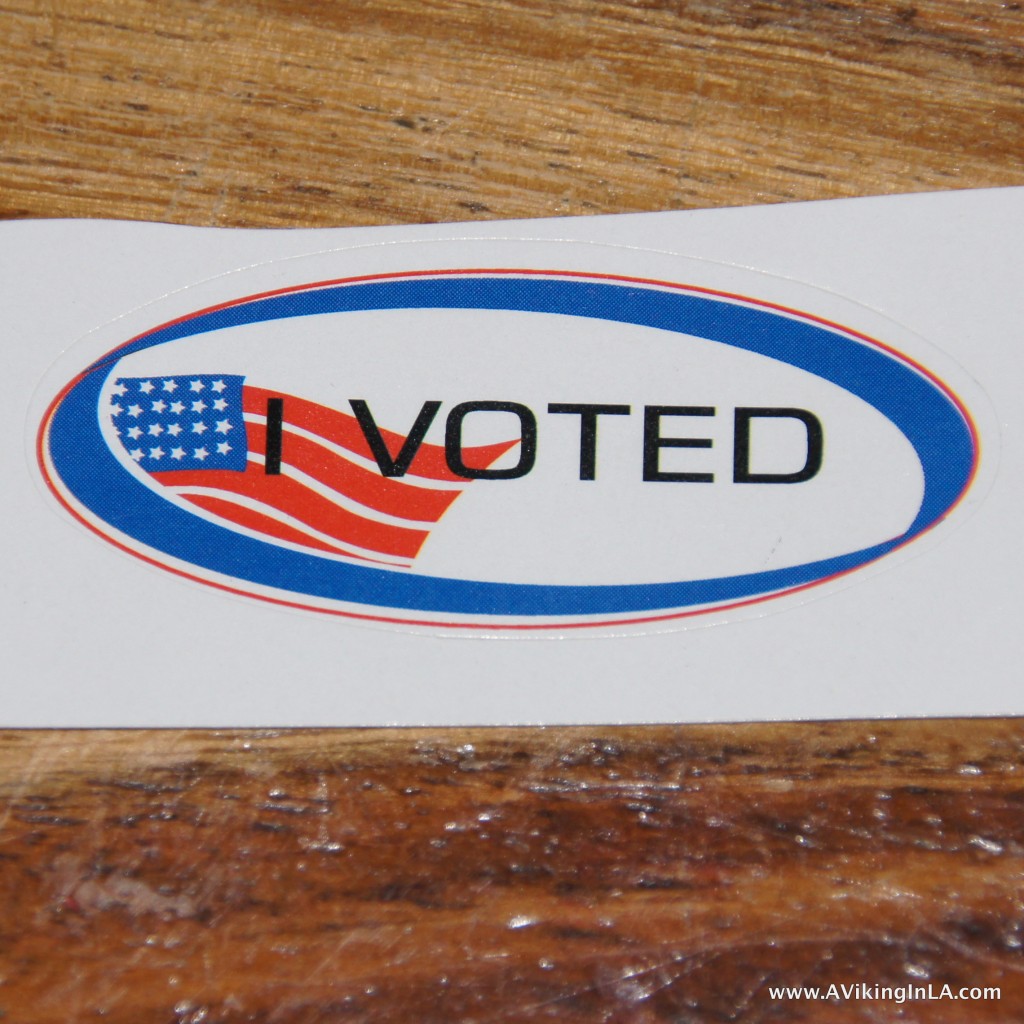 My first voting experience ever | A Viking in LA